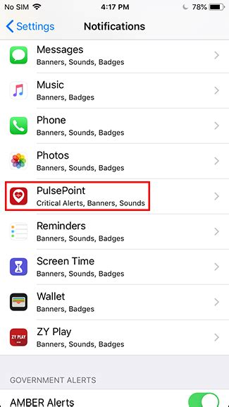 What Are Critical Alerts On IPhone And IPad And How Do I Enable Them