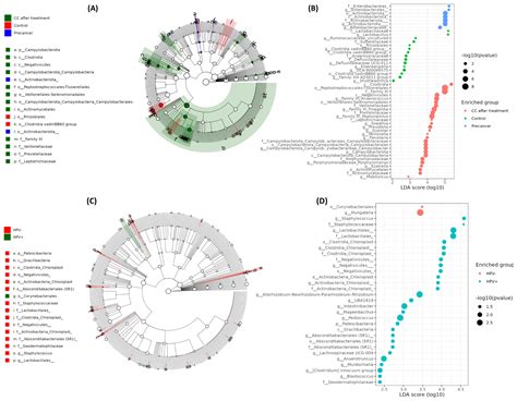 Cervico Vaginal Microbiome Dynamics Across Hpv Driven Lesion Stages In
