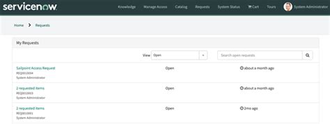 Using The Servicenow Portal Integration For Identityiq