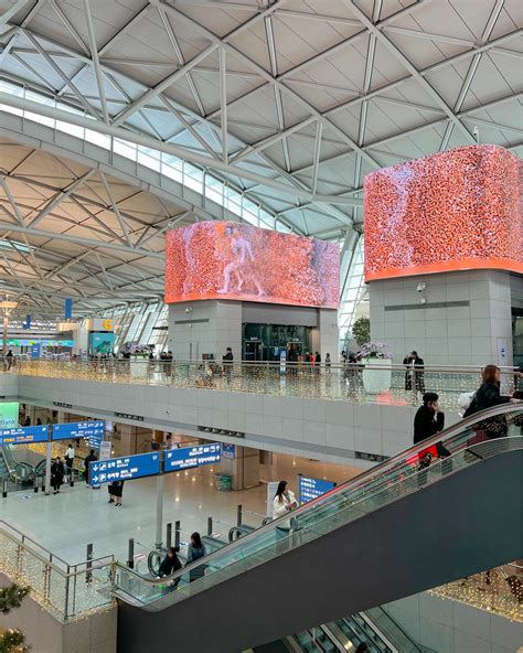 인천 여행 정보ㅣ인천관광공사 공식계정 장미 유채 코스모스를 한번에🌸 이국적인 풍경의 인천 영종도 여행 ️ 🌷인천 꽃여행 영종도 하늘정원으로 떠나요🌷 인천공항에