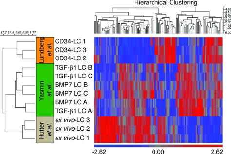 Gene Expression Analysis Clustering Using Complete Linkage Algorithm Download Scientific
