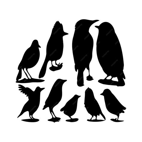 Premium Vector This Is A Clean Eyecatchy Professional Design Suitable