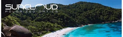 Suncloud Hook Polarized Sunglasses Clothing Shoes And Jewelry