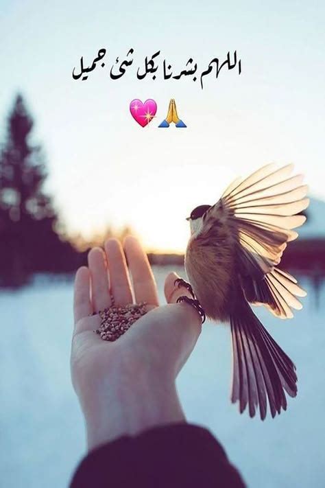 Pin On صور سوشيال ميديا