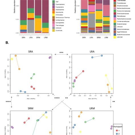 Overview Of Microbiome Analysis Workflow For The Purpose Of