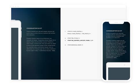 Wordpress Plugin Limit Post Add On