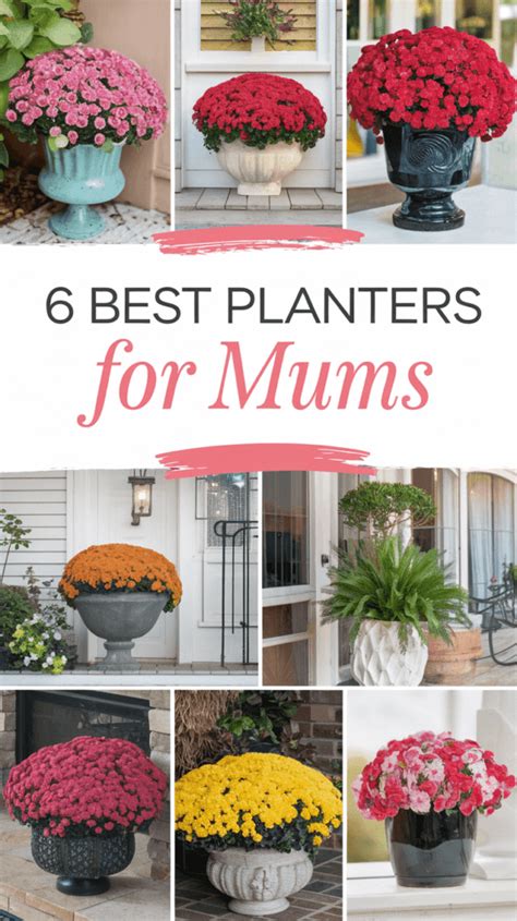 6 Best Planters For Mums Enhance Your Garden Aesthetics