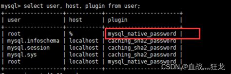 mysql解决“plugin caching sha2 password could not be loaded” plugin