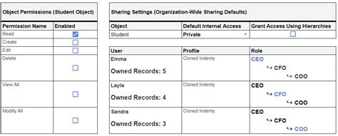 Engin Baştürk On Linkedin To Understand Salesforce Security Model
