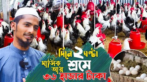 লাভজনক ডিমের রাজা ফাউমি মুরগি পালন দিনে ২ঘন্টা শ্রমে মাসিক আয় ৩৬