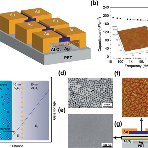 A Three Dimensional Illustration Of The Flexible Memory Array B Download Scientific