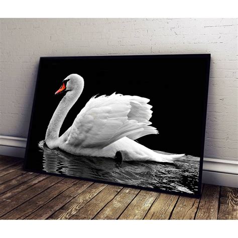 Vit Svan I Mörker Elegant Poster Swedearts