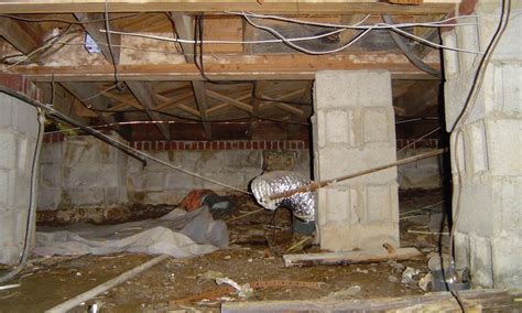 Should You Encapsulate Your Crawl Space Energy Vanguard