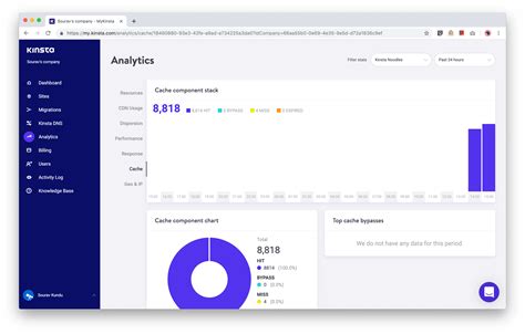 Kinsta Hosting Overview Guide 2024
