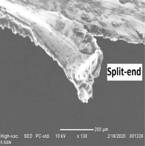 For Cutting Speed 339 Mmin Download Scientific Diagram