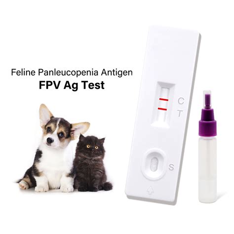 Discover The Top Choices For Reliable Ovulation Kits To Maximize Your