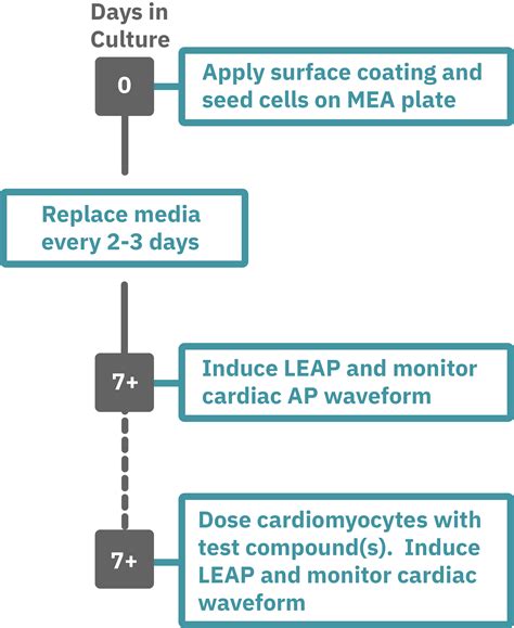 Cardiac Classification Axion Biosystems