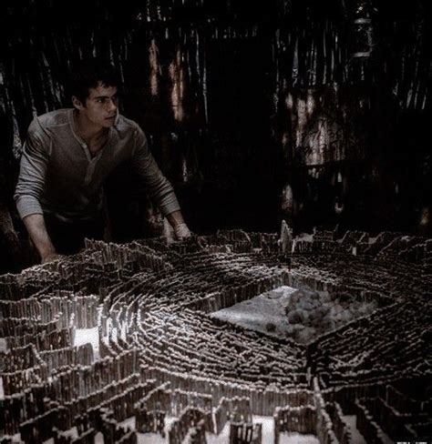 Pin By Big Babe Friendly On POV Maze Running Maze Runner Movie Maze Runner Trilogy Maze Runner