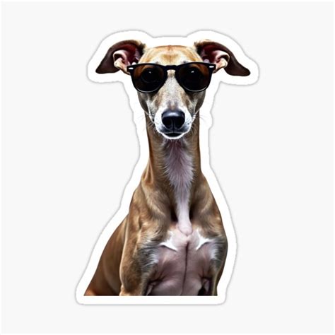 Lazyowlstore Shop Redbubble