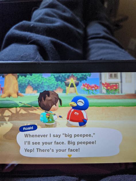 Compliments From Roald Animalcrossing