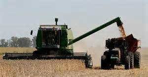 La Soja Extiende La Debilidad De Precios Y Su Valor Es El Más Bajo En