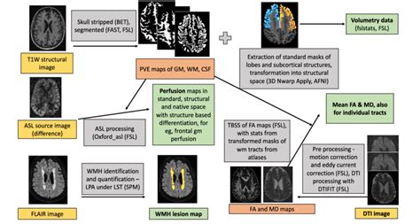 Summary Of Brain MRI Processing Pipeline Download Scientific Diagram