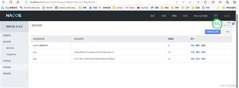 微服务架构使用和docker部署方法（若依） 若依微服务部署 Csdn博客
