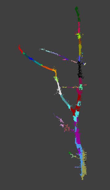 Segmentation Of The Natural Tree By Colouring The Merged Octree Cells Download Scientific Diagram