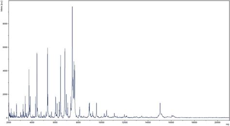 Maldi Tof Ms Reference Mass Spectrum Spectra From 12 Individual Download Scientific Diagram