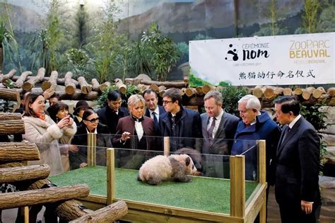 “熊猫外交”知多少？中国
