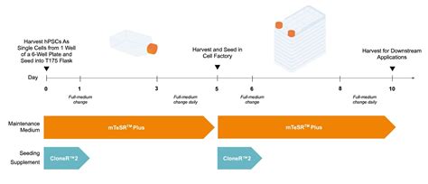 Large Scale Expansion Of Human Pluripotent Stem Cells Hpscs In 2d Monolayer Culture Using