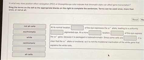 Solved In What Way Does Position Effect Variegation Pev