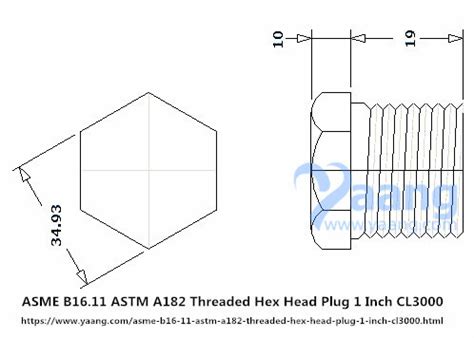 Asme B1611 Astm A182 Grf316l Threaded Hex Head Plug 1 Inch Cl3000 Yaang