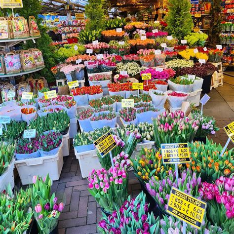 Floating Flower Market At Eric Meza Blog