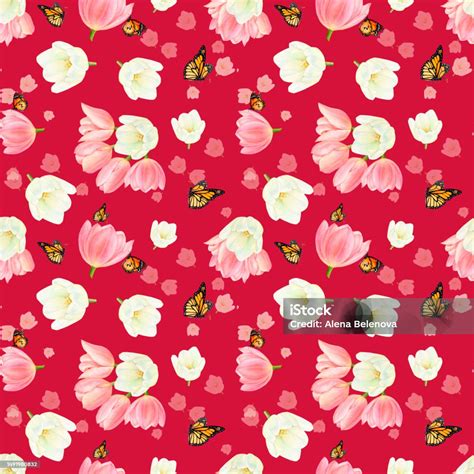 흰색과 분홍색 튤립의 아름다운 꽃 세트와 빨간 배경에 날아다니는 나비의 수채화 그리기 패턴 손으로 그린 호화로운 꽃들 로고 엽서 직물 인쇄 우표 포장을 위한 고품질 삽화 0