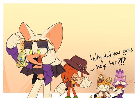Rouge The Bat Tails Blaze The Cat Knuckles The Echidna And Chao