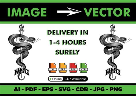 Do Vectorize Vector Tracing For You By Aamirbaany Fiverr