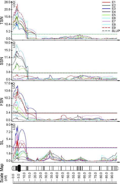 Figure S4 Co Localization Of The Qtls For Spike Length Sl Fertile Download Scientific