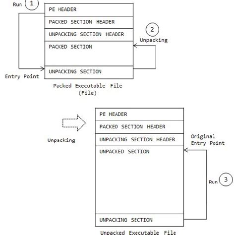 Execution Operation Of Packed Executable File 9 Download