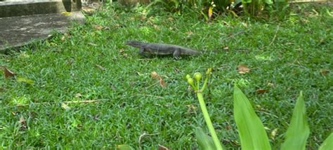 Using Perl To Replace File Content By Stephen Lee Medium