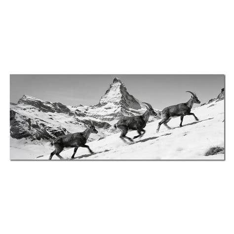 Artdarts Premium Alpine Wall Art Switzerland