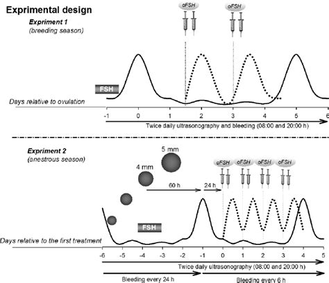 Schematic Representation Of The Experimental Design In Experiment Download Scientific Diagram