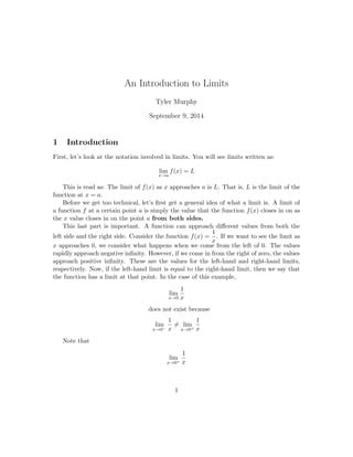 Introduction To Limits PDF