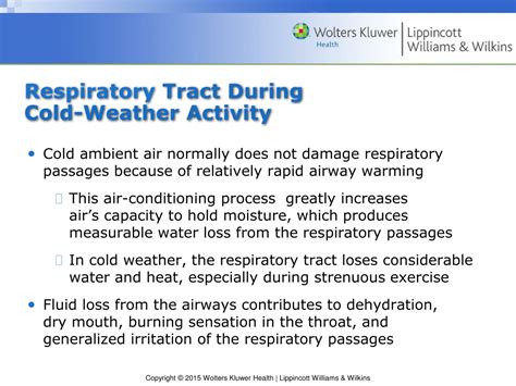 Ppt Pulmonary Structure And Function Powerpoint Presentation Free Download Id 9384845