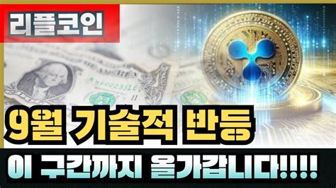 리플 기다리던 호재 소식 니왔어요 반등시점 대공개 Youtube