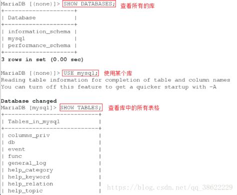 Linux下数据库的基本管理linux能管理数据库吗 Csdn博客