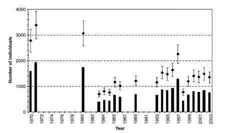African Penguin Population Graph
