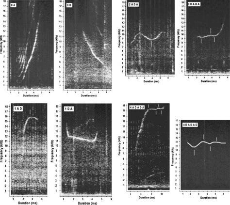 Spectrogram Representation Of The Five Whistle Contour Types 0 1 2 Download Scientific