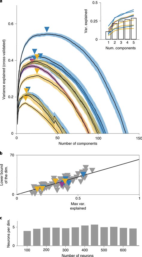 Dimensionality Of Population Activity During Spontaneous Behaviors A