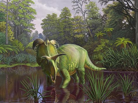 Nuevo Hallazgo Paleontológico Lokiceratops El Dinosaurio Con Cuernos Que Recuerdan A Loki